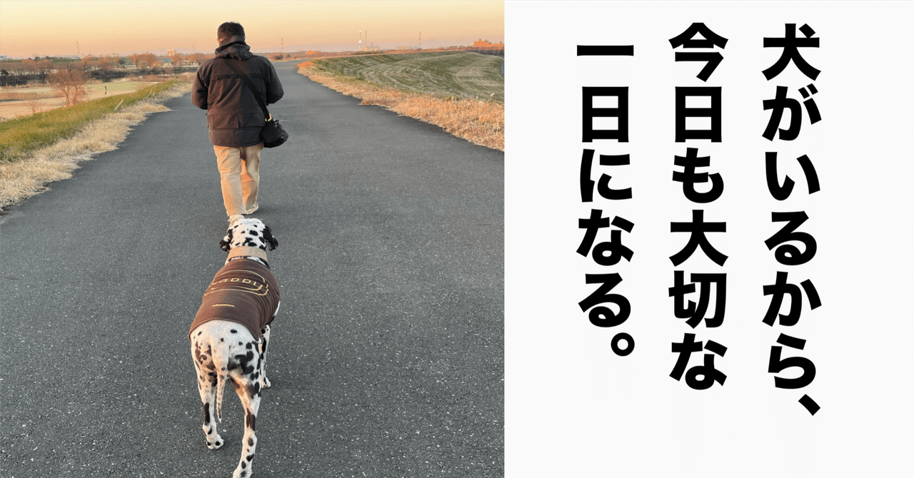 犬がいるから、今日も大切な一日になる。｜Akemi Maruyama／コピーライター