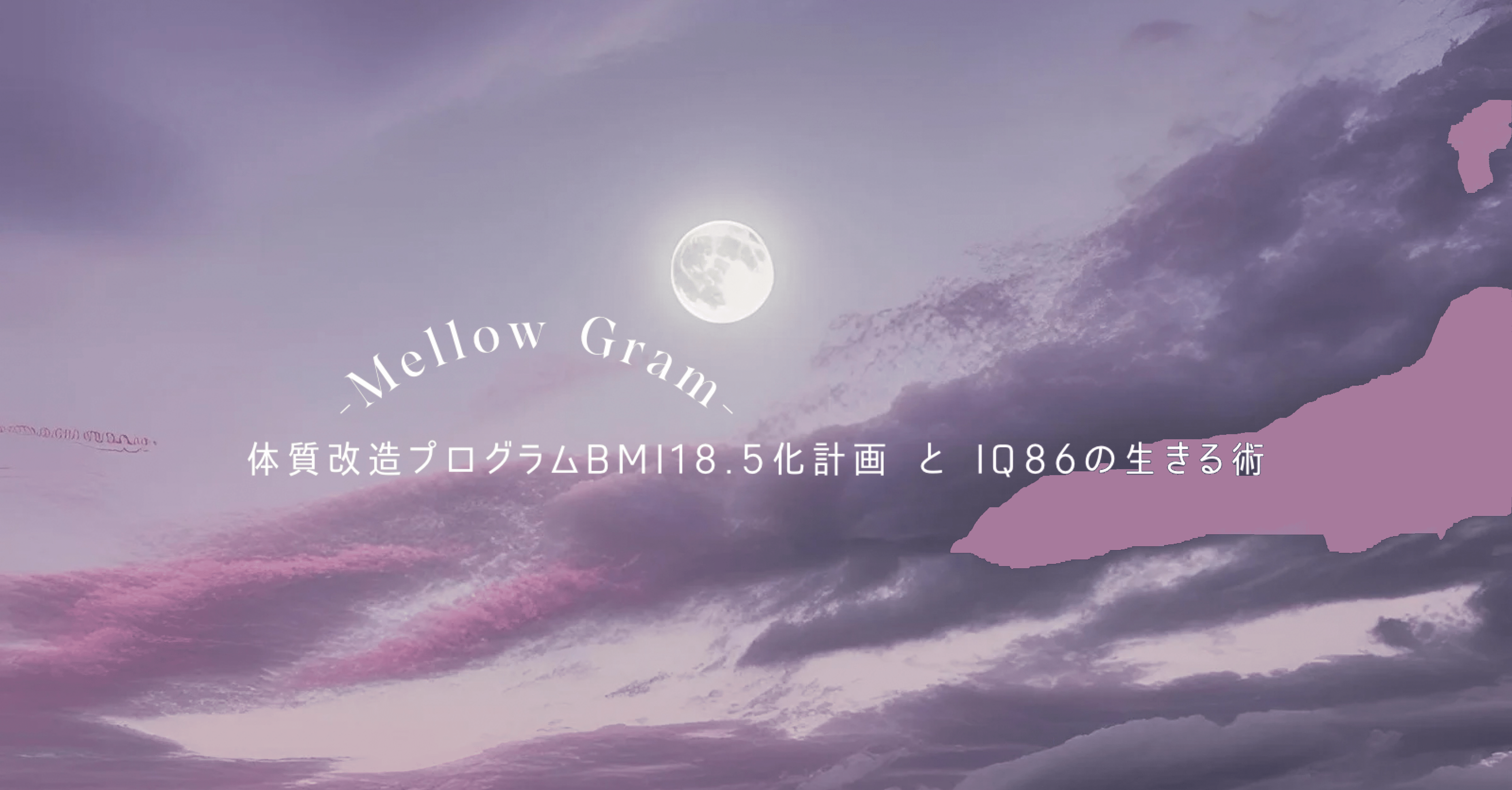 みーふぃ@Mellow Gram｜note