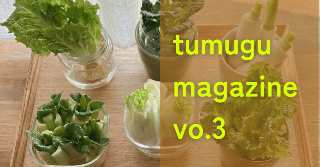tumugu magazine vo.3 | 2025 春号｜ハナレ | 森の中の展示室