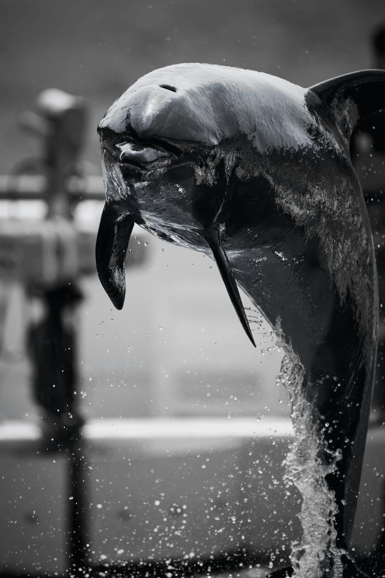 20250321 京都水族館｜Yusuke Marianne