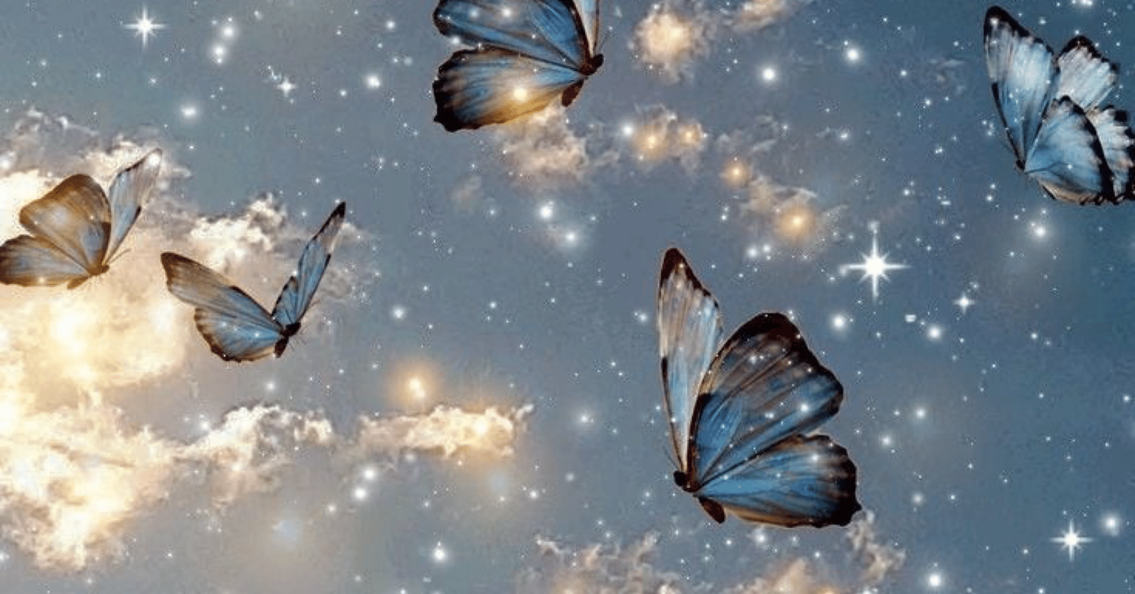 🦋ころがし嬢🦋RENA♡｜note