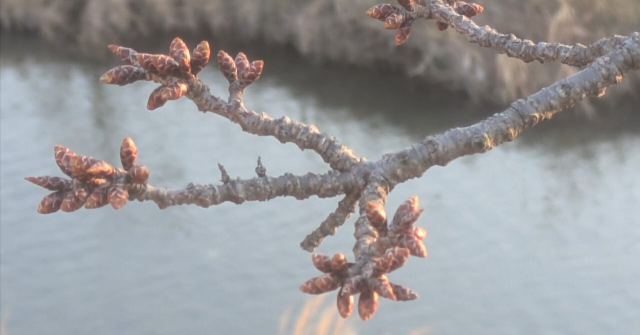 第3巻歌番号474番歌 作者 大伴家持｜ichiro70