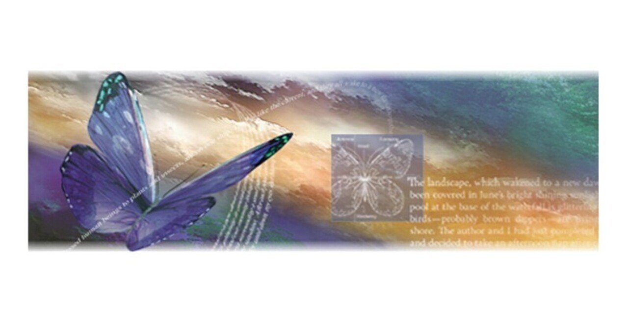 Adobe InDesign（Splash Screen）｜midori