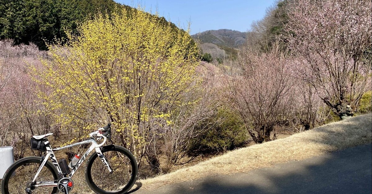 桃源郷ライド154km｜西川正治