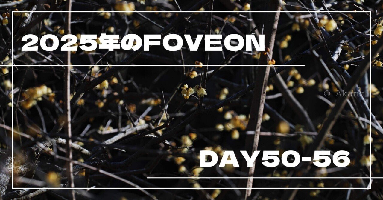 2025年のFoveon、Day50-56とBFの体験会をまだ悲しむ話｜akane_k