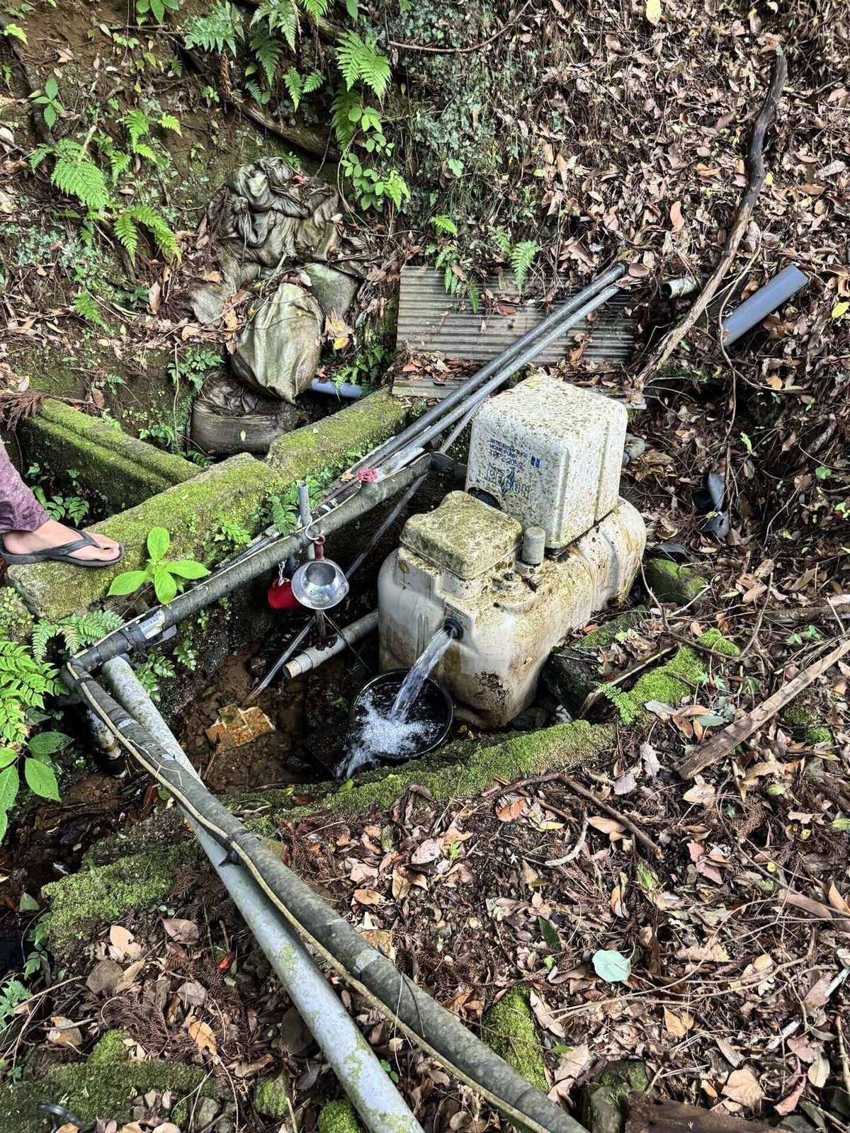 Why I, who used to make 'work' my hobby, am making 'self-sufficiency ...