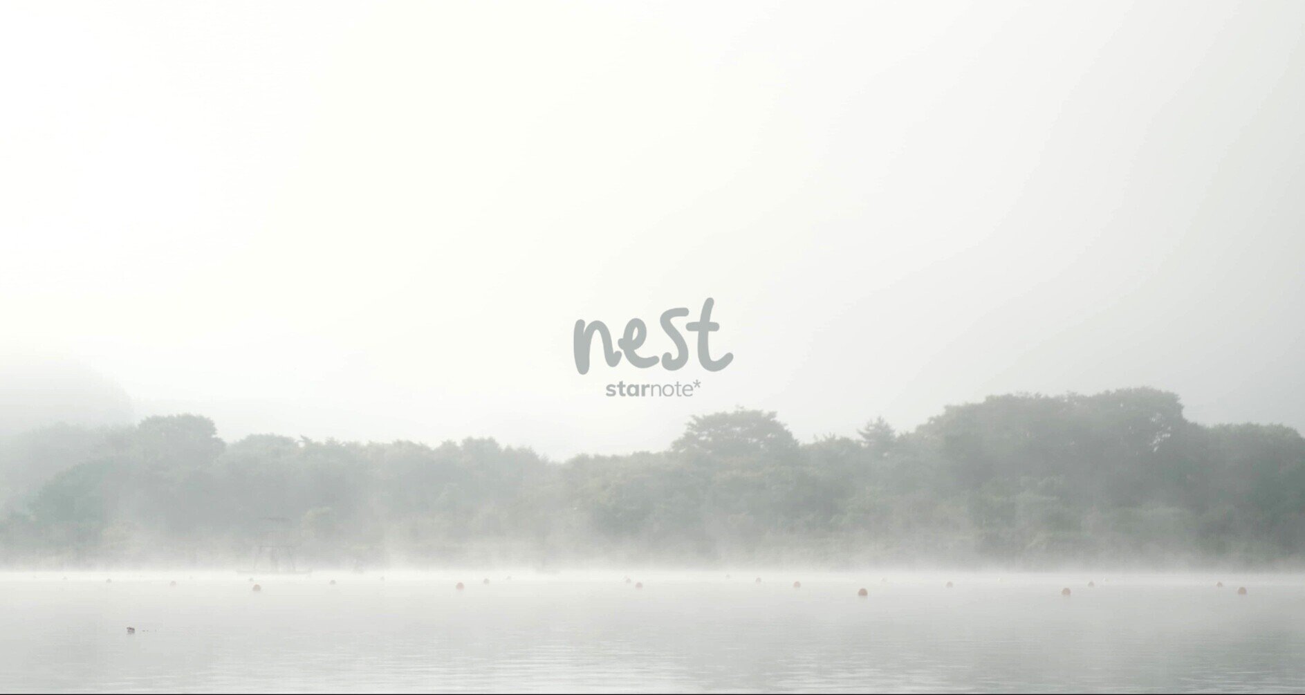 starnote* nest｜Yusuke Miura / starnote*