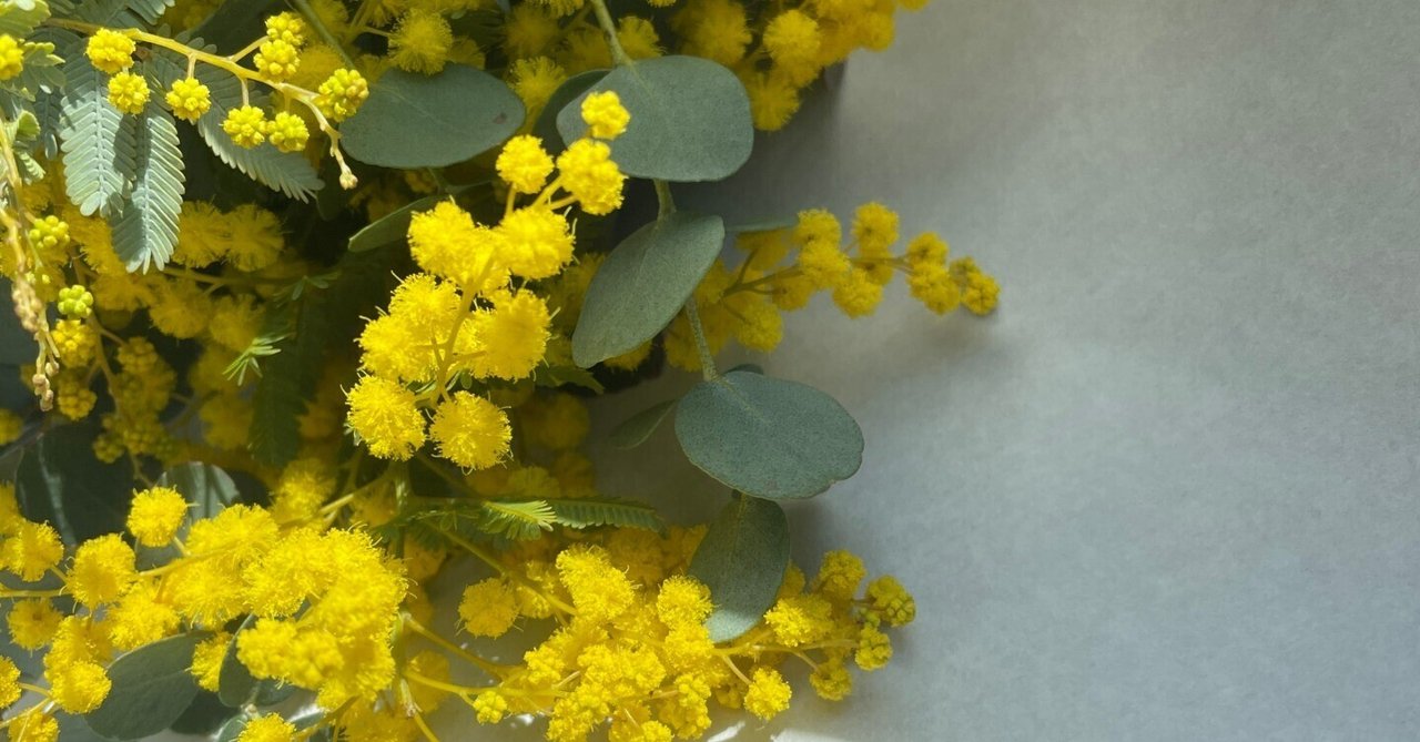 TANKA｜Manami Kawakami