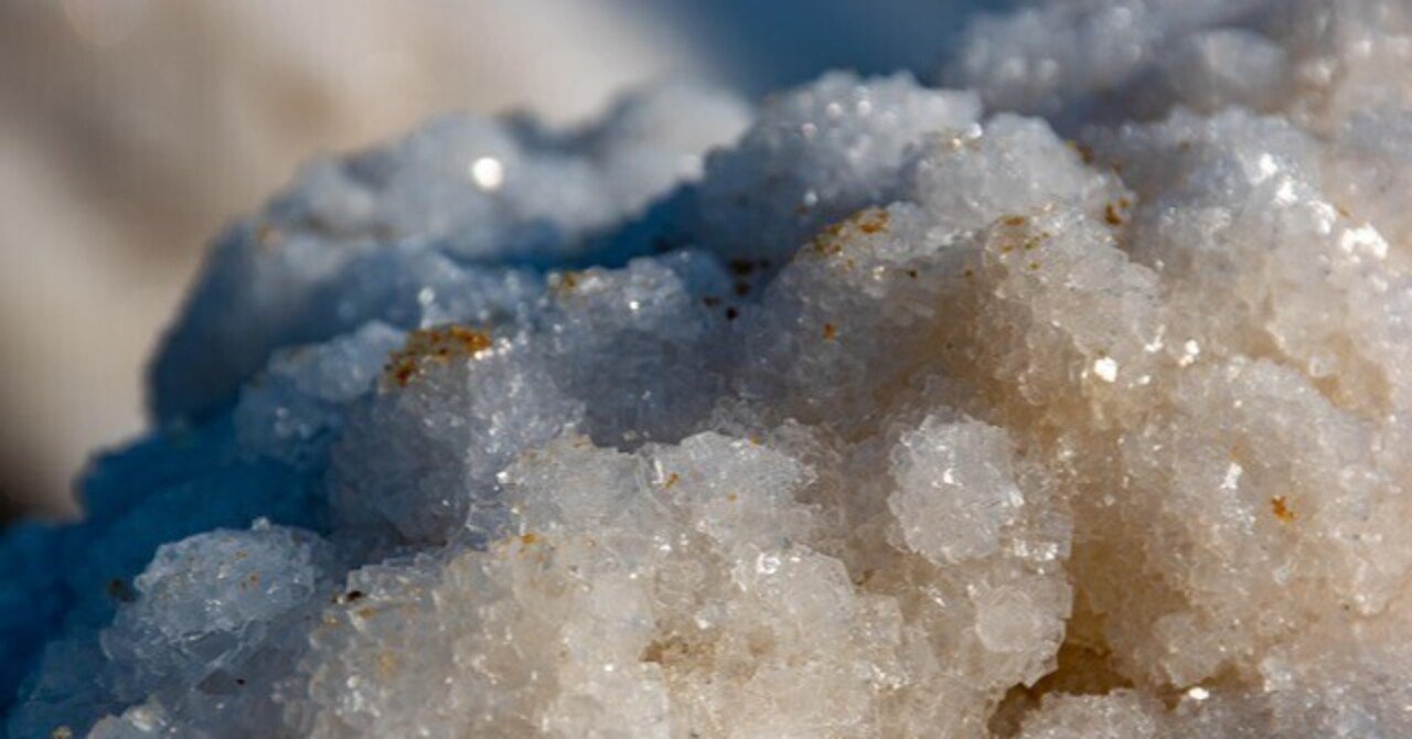 『地の塩として』｜TICA Tatsuo