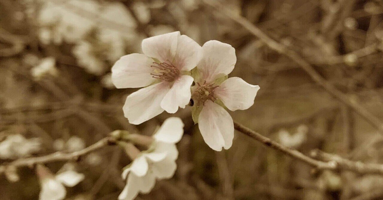 さようなら｜Ryu Miho