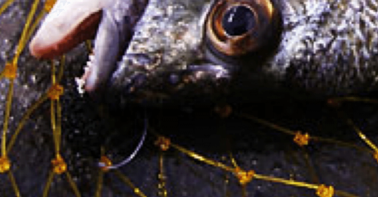 tinu｜Koichi Hirose