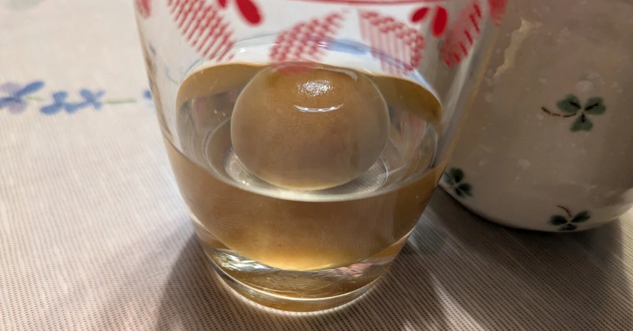 自家製梅酒 (Homemade plum wine)｜hiro