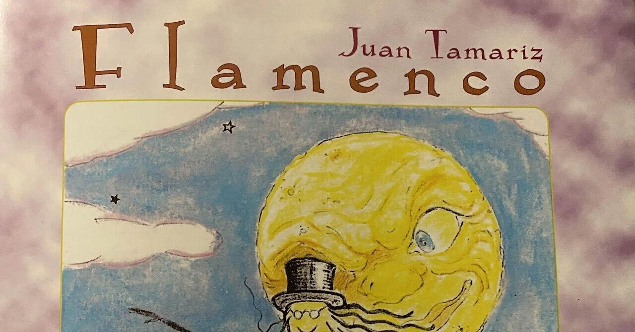 Flamenco (Toque)｜ナカムラアツキ