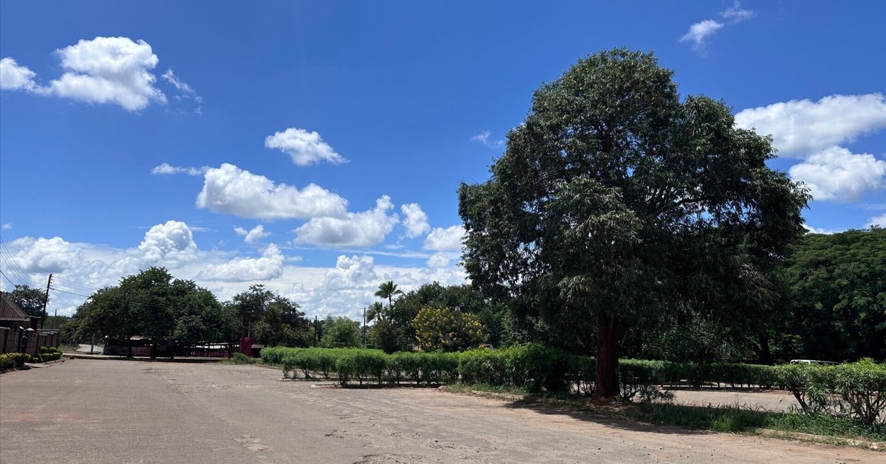 【JICA海外協力隊】229/730日目「私の存在が現地人の思い出になる」｜なべみ（27） JICA海外協力隊2024-1