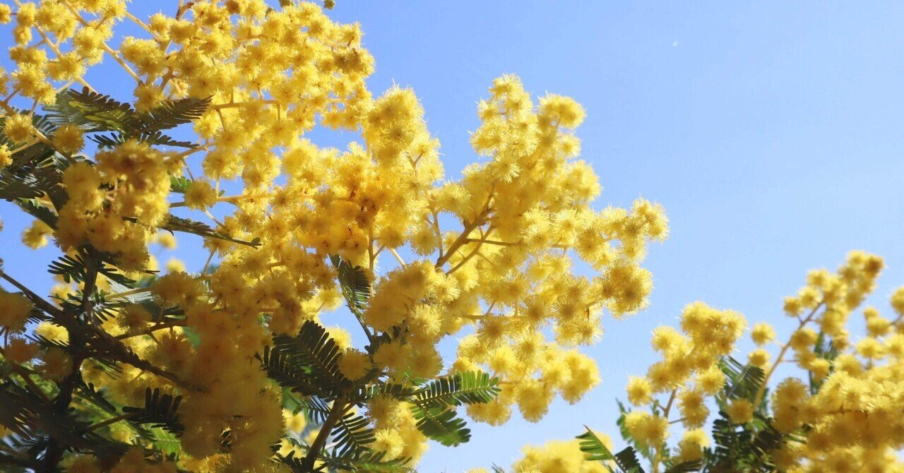 感動は人生を変えるきっかけになる〜①アロマテラピー｜hitsuji coya