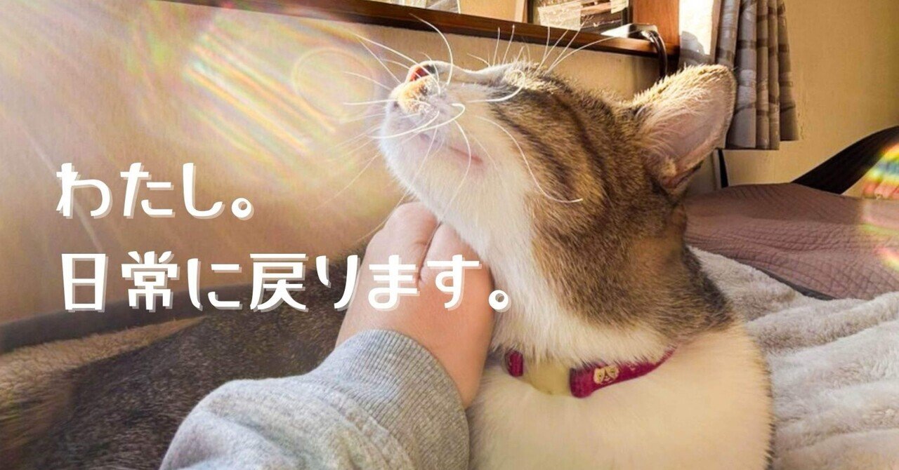 通院と日常｜8 / hacci