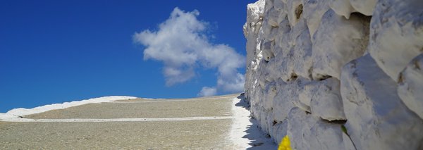 裕木奈江 Nae Yuuki｜note