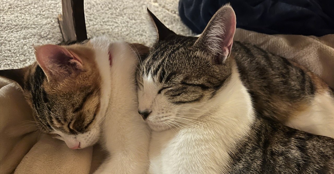 自分の世話には手間がかかる｜awai Sou / 佐藤 草 自然（わたし）にかえろう🌿ともにいのちを生きる