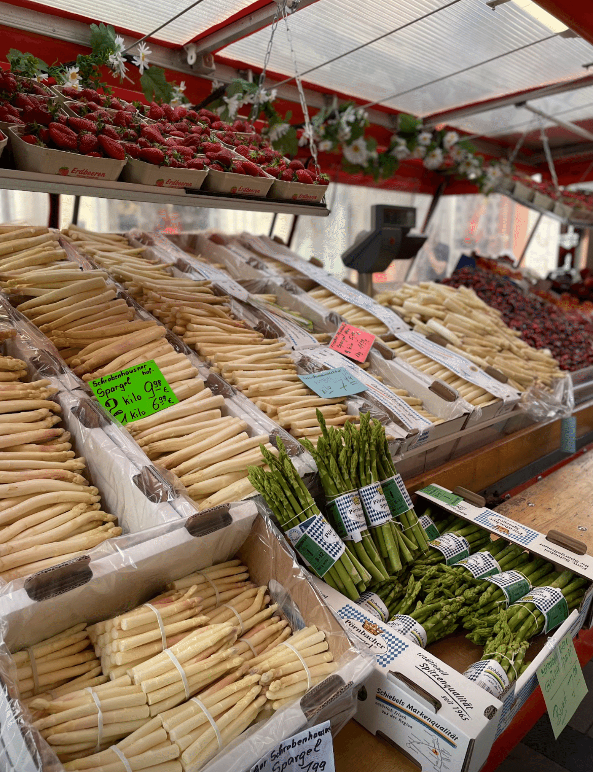 旅と音楽と私の風景③ 〜初夏のドイツ ミュンヘン〜｜MAYUKO