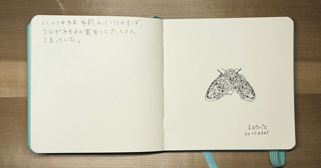 20250325｜桃山鈴子の『すずこのさんぽ日記』