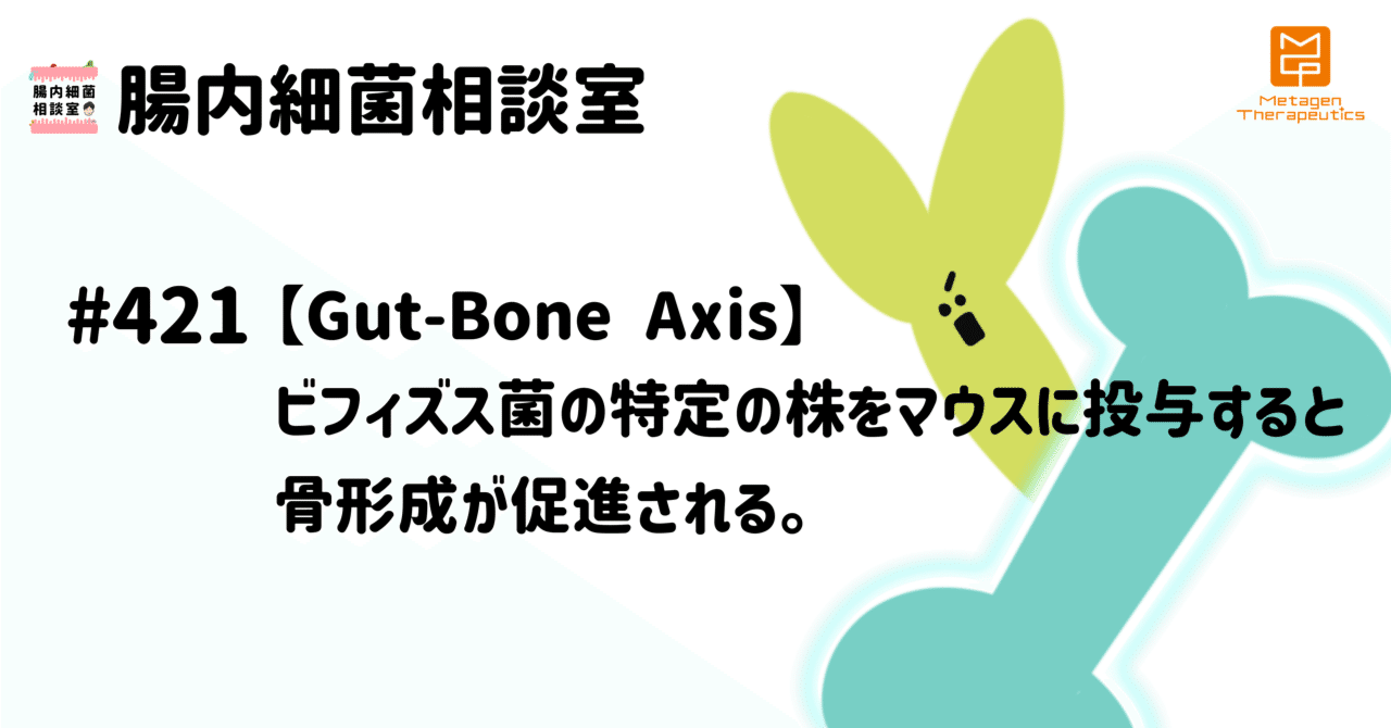 #421【Gut-Bone Axis】ビフィズス菌の特定の株をマウスに投与すると骨形成が促進される。｜腸内細菌相談室