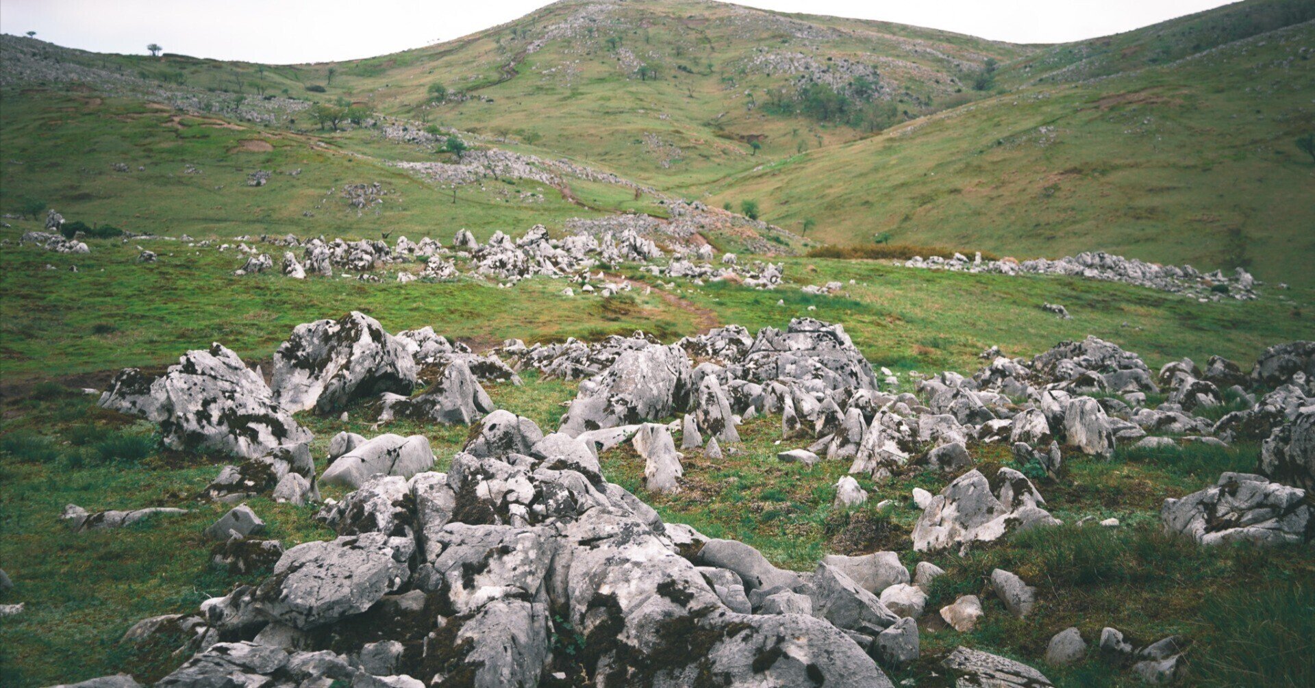 Ryosuke Suzuki｜sûdsns｜note