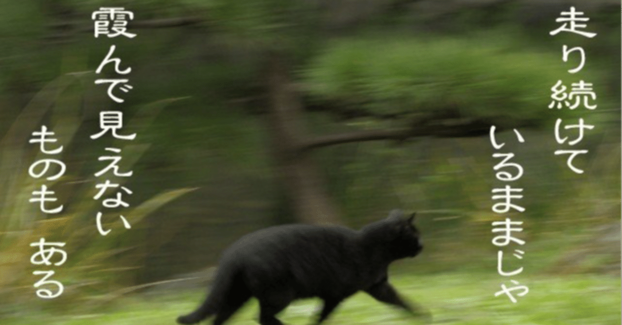 ミニマリズムとは何なのか？｜Calico @ FP技能士