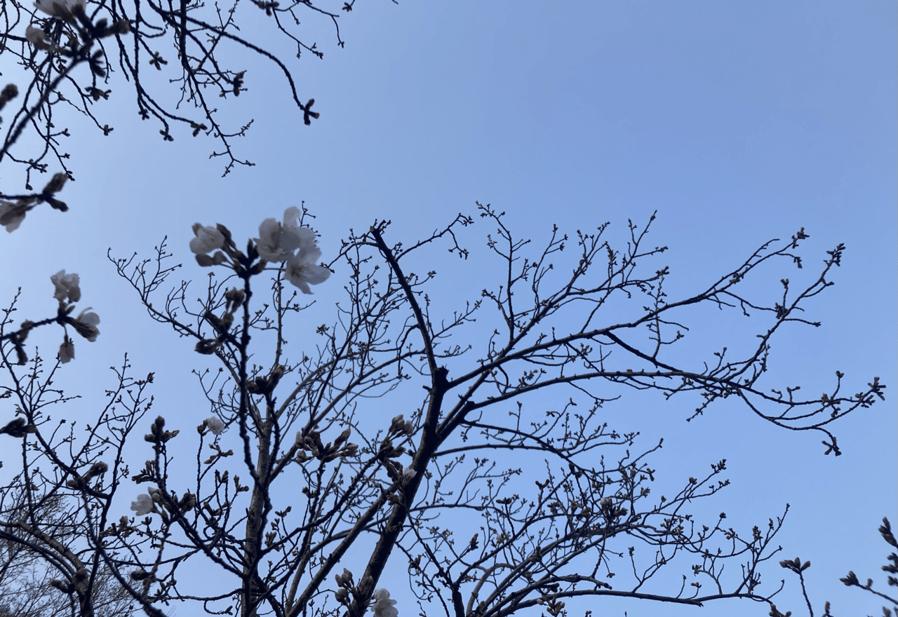 【残り7日で-1.3kg】 65.3kg→4/1に64kg 前日比-0.6kg…昨日の分です。寝てしまいました💤 朝 ナッツ20g 昼 ココア1ナッツ30g 夕方🍙1 夜 玄米1味噌汁1🍌3 ...