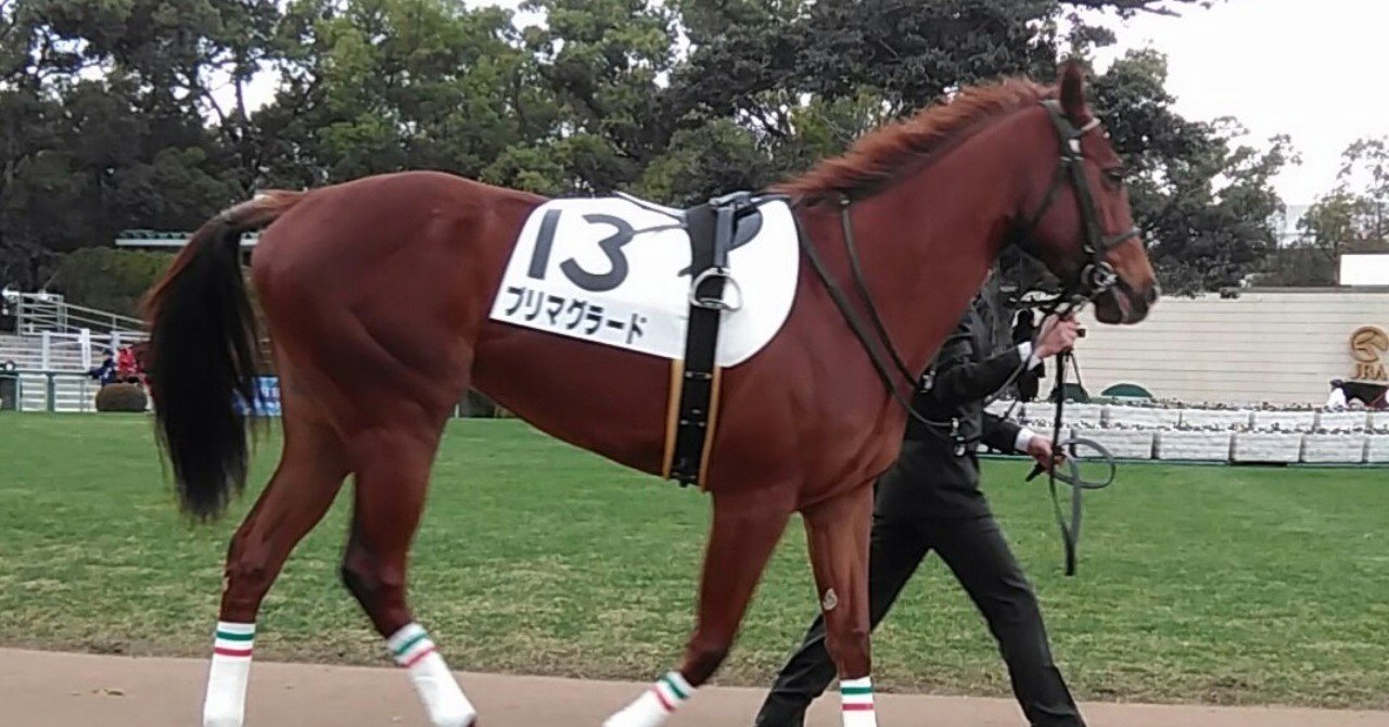 1/18（土）京都4R 1番人気馬｜JRDB 競馬アラカルト｜note