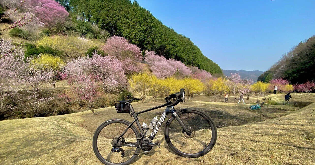 黄砂に吹かれて桃源郷ソロライド154km｜西川正治
