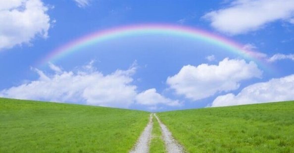 NCD株式会社（証券コード：4783）IR･PR｜note