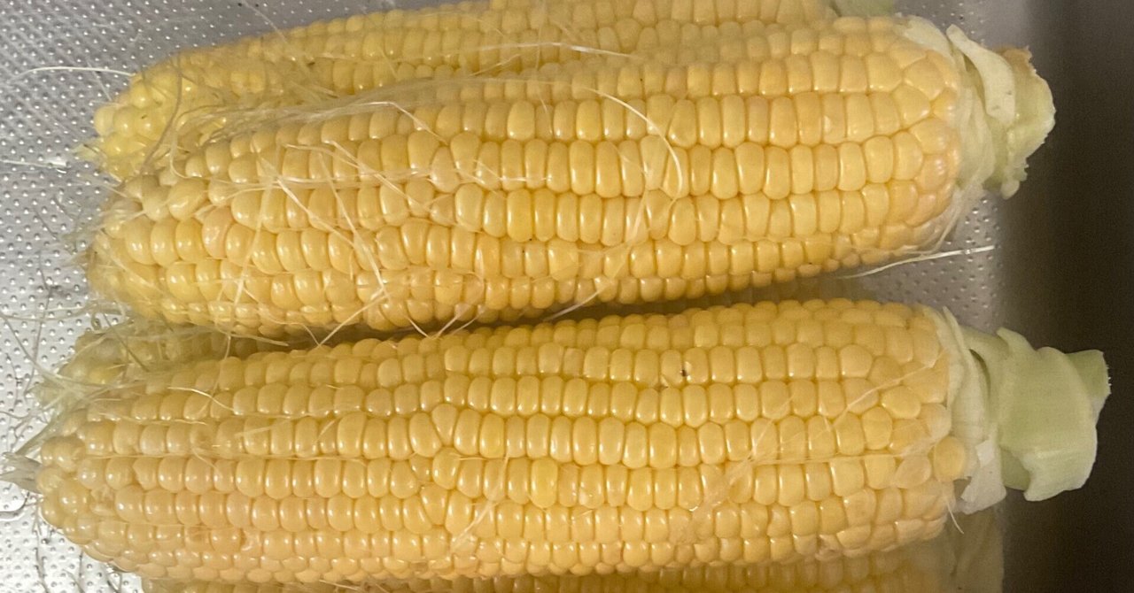 たかしの菜園日記 トウモロコシの種蒔く|たかし