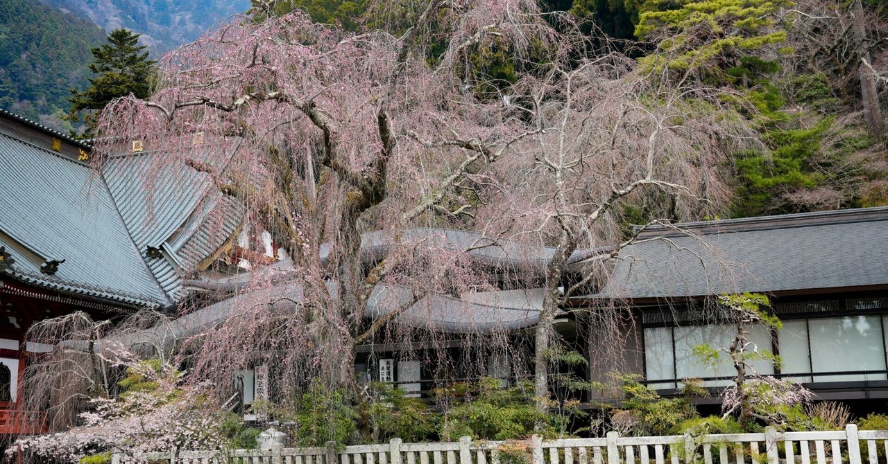 久遠寺へ｜Chacoder