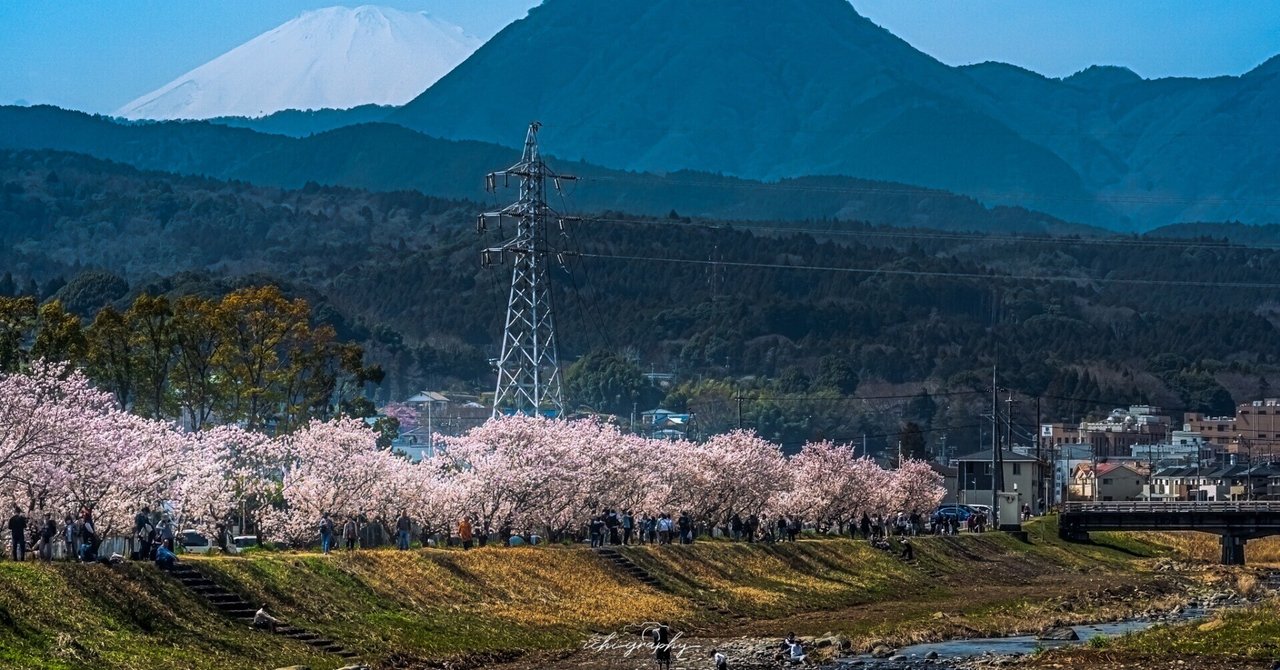 【旅行レポ】花粉だ！黄砂だ！桜だ！いざ鎌倉🏹｜ichi_graphy