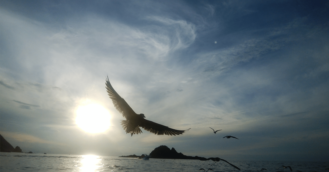 『在所離る（あくがる）』｜silva_ration（シルヴァ・レイシオン）裏