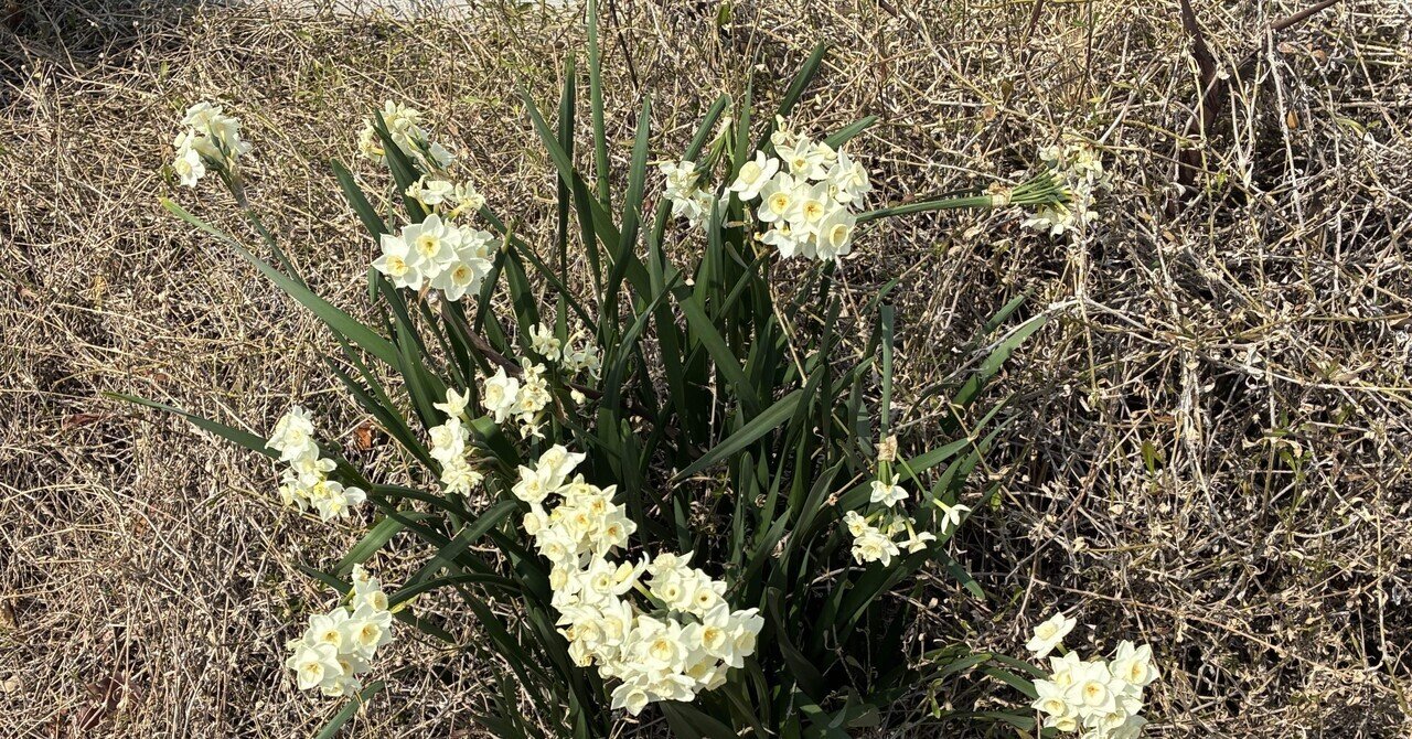 20250327 パン🍞｜moe