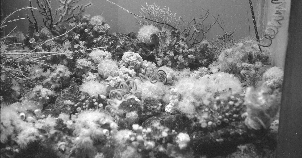 20250327 睡眠不足｜寺山 佳呂（てらやま かろ）