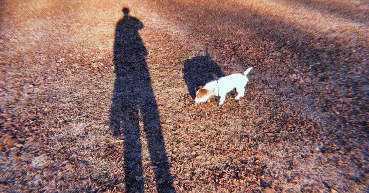 承認欲求は親子で成立するのか｜世田谷のDINKs(幸福な子なし夫婦)