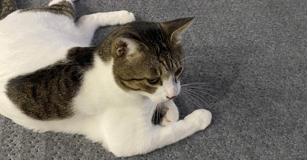 20250327/ 1,500円｜みつこ