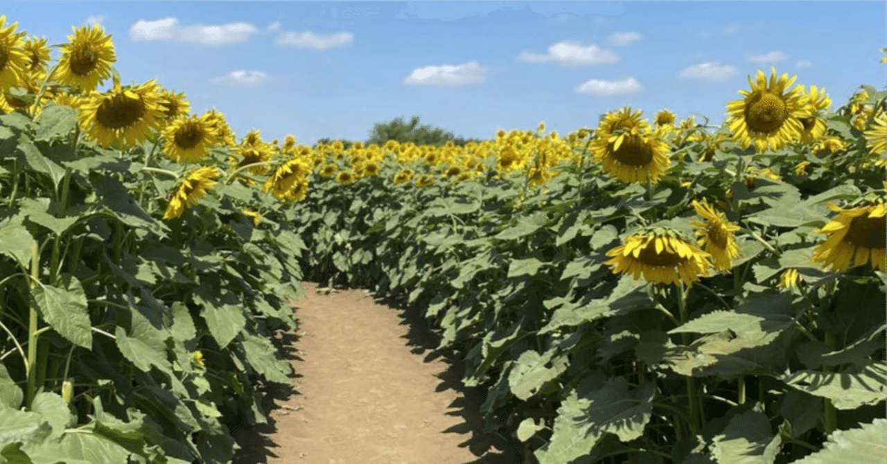 永遠の現在とLUUP｜waravim