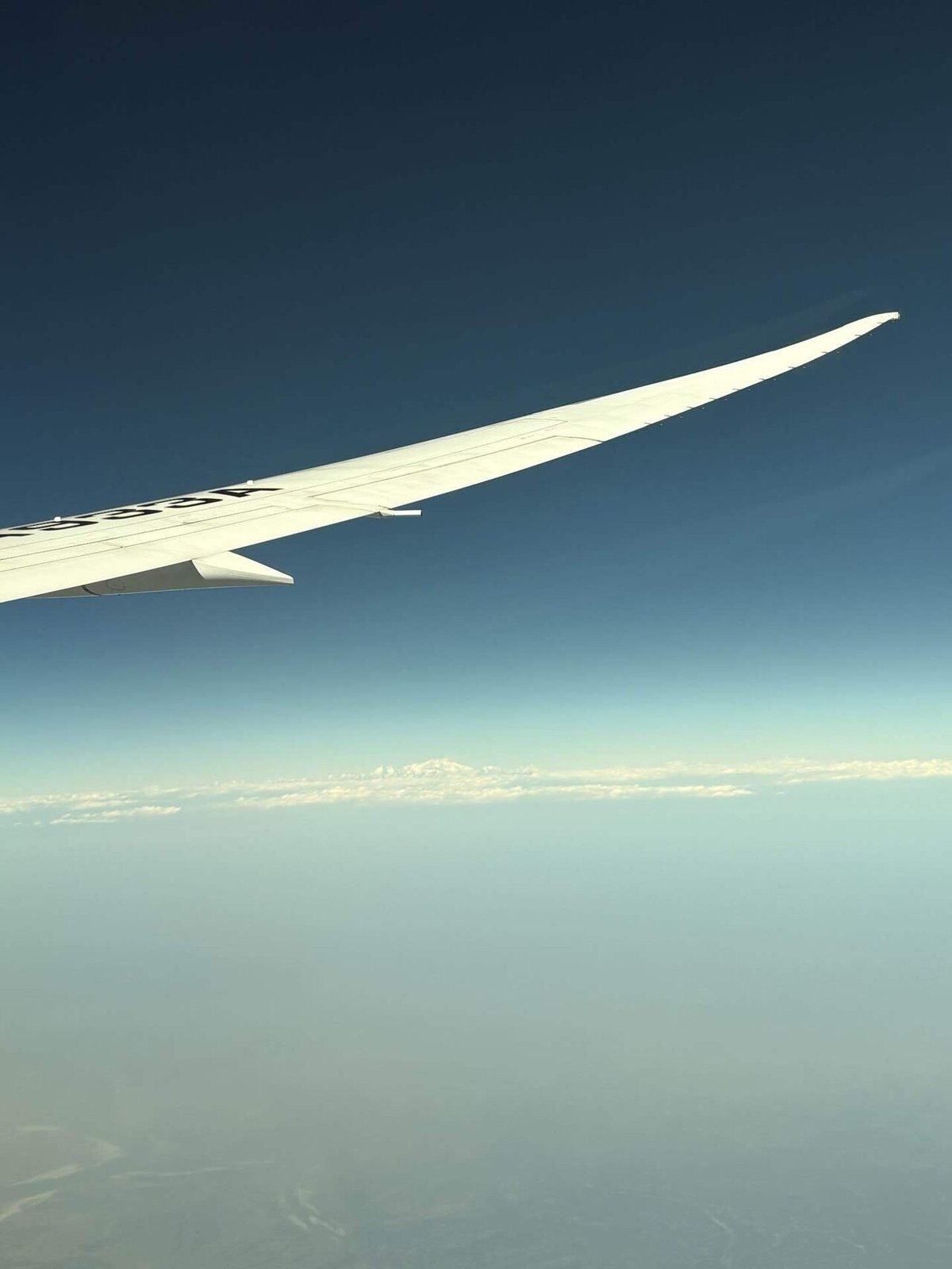 インドに悪魔のナマズを追って①｜Kameda Takeru