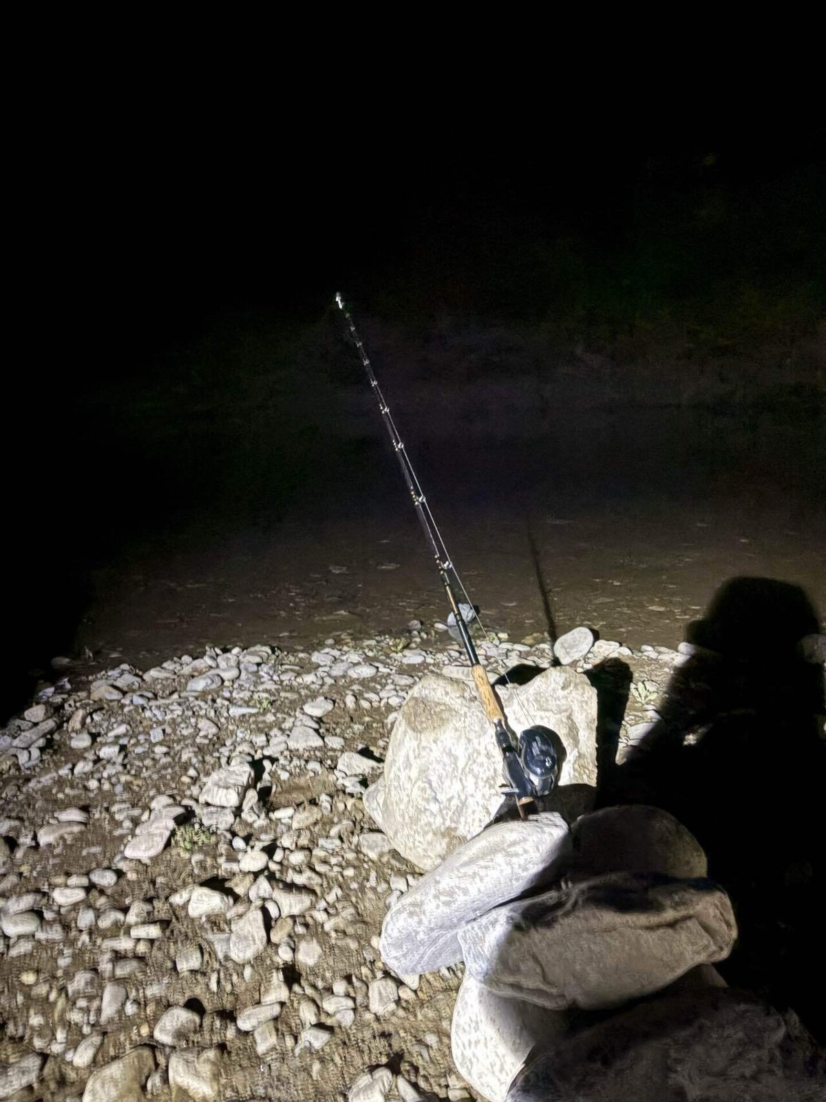 インドに悪魔のナマズを追って①｜Kameda Takeru