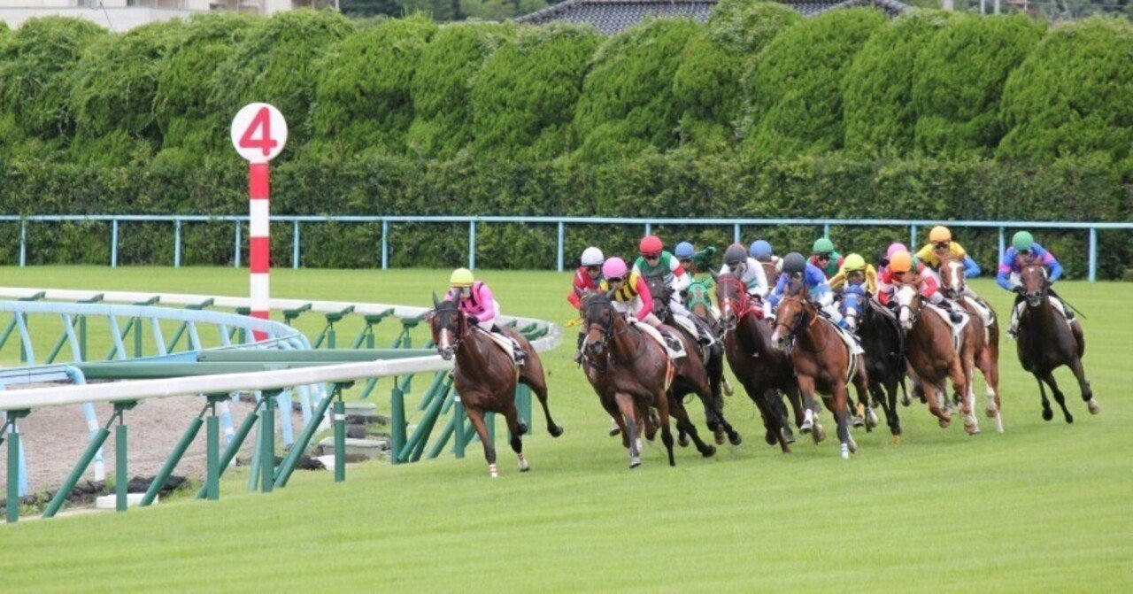 【阪神11r】毎日杯(gⅢ)【🔥ss勝負🔥】(発走時刻15時35分)|さやだま