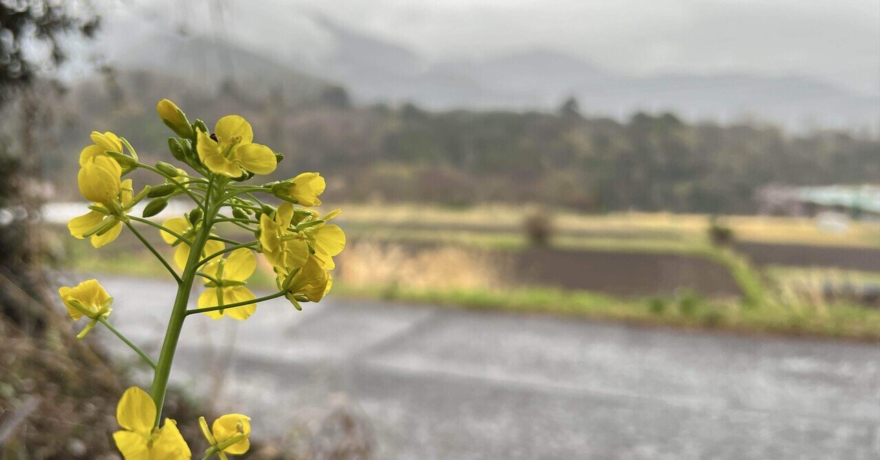 DAY 61 今日も雨｜jucon110