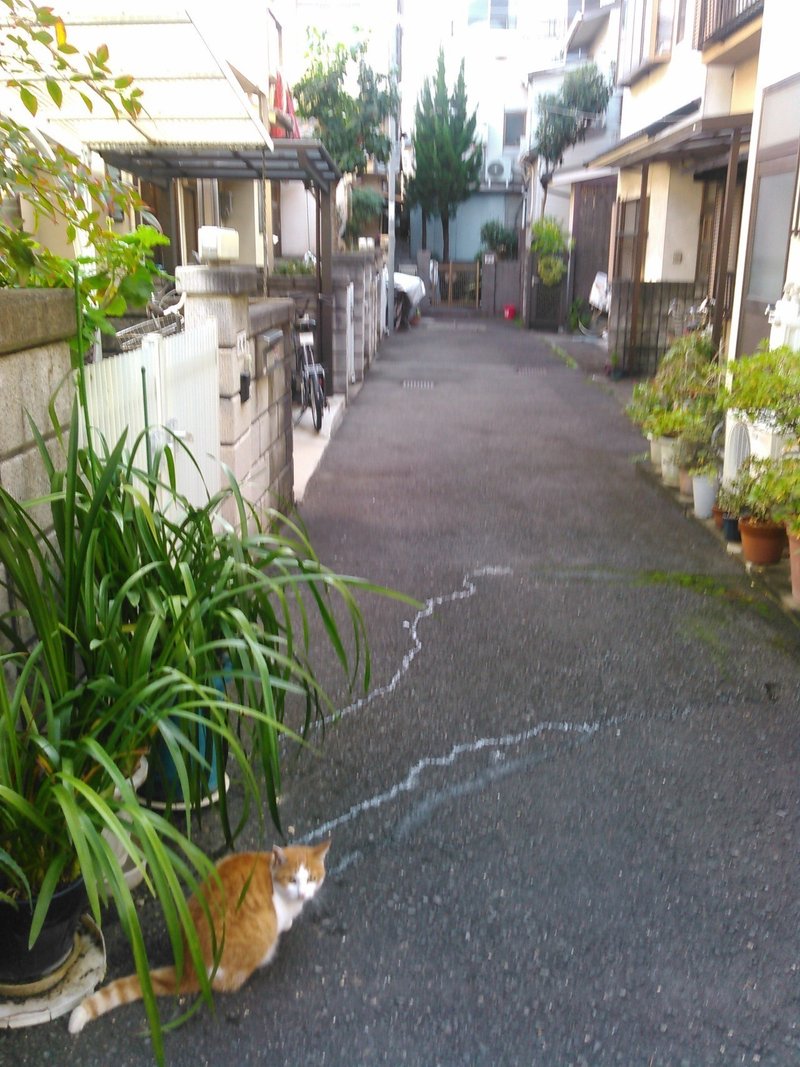 隙間と小路を探して～画像集50最終回｜ichiro70