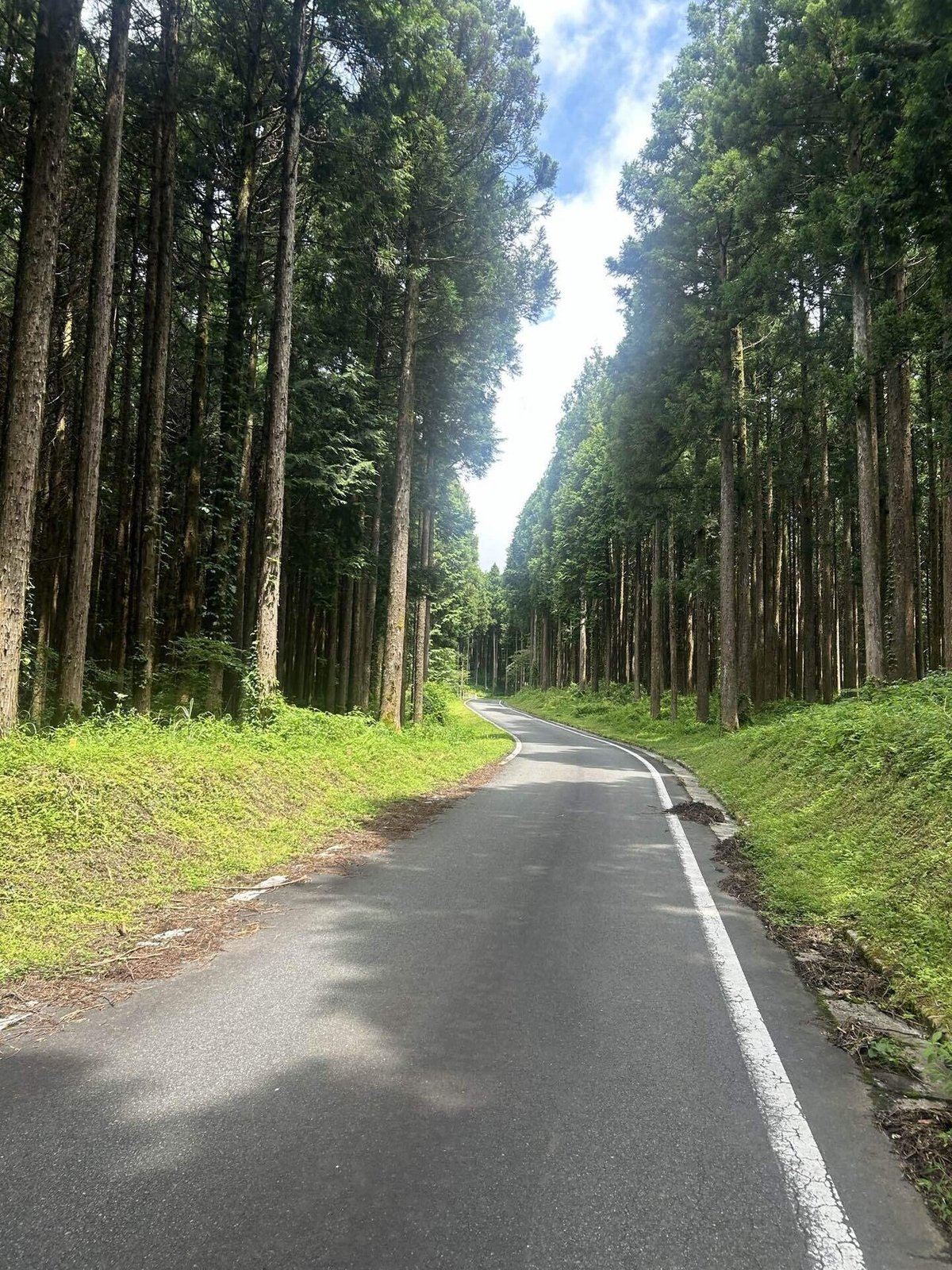 【ゼロ富士🗻】海抜0mから走って富士山頂(3776m)へ｜旅竜@地球の走り方