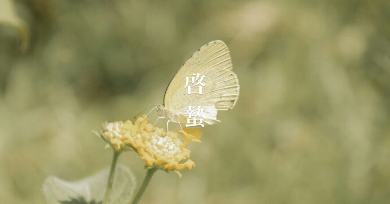 '25 二十四候: 啓蟄（3月前半）あなたの月経周期をふりかえるためのnote｜ayaka 心とカラダの美しさを引きだす術