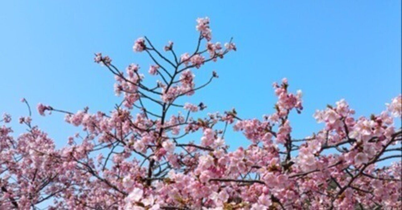 2025年の春もよう｜mikelan