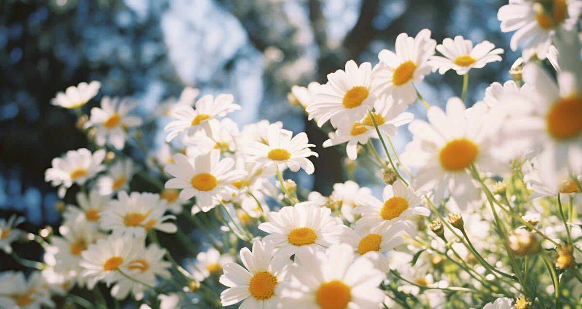 ウェブサービス開発2回目の挑戦｜Sano｜note