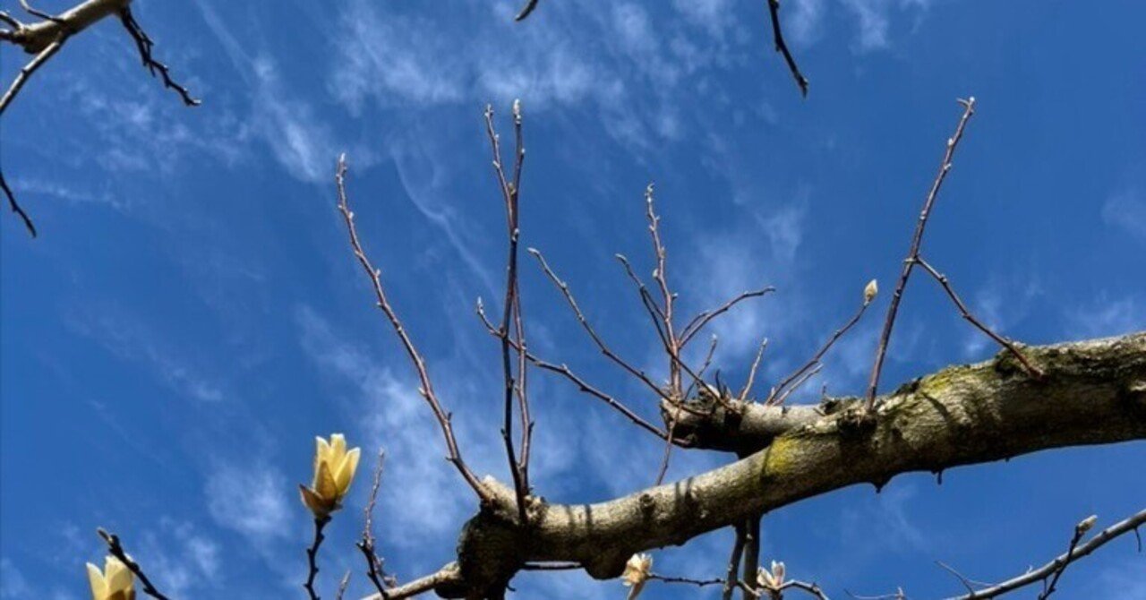 休み方、働き方、生き方 その2「なぜ休むことができない？」｜Chika Munakata